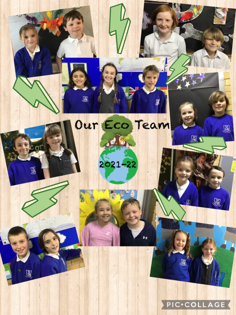 Eco Team – St. Michael In The Hamlet Community Primary School